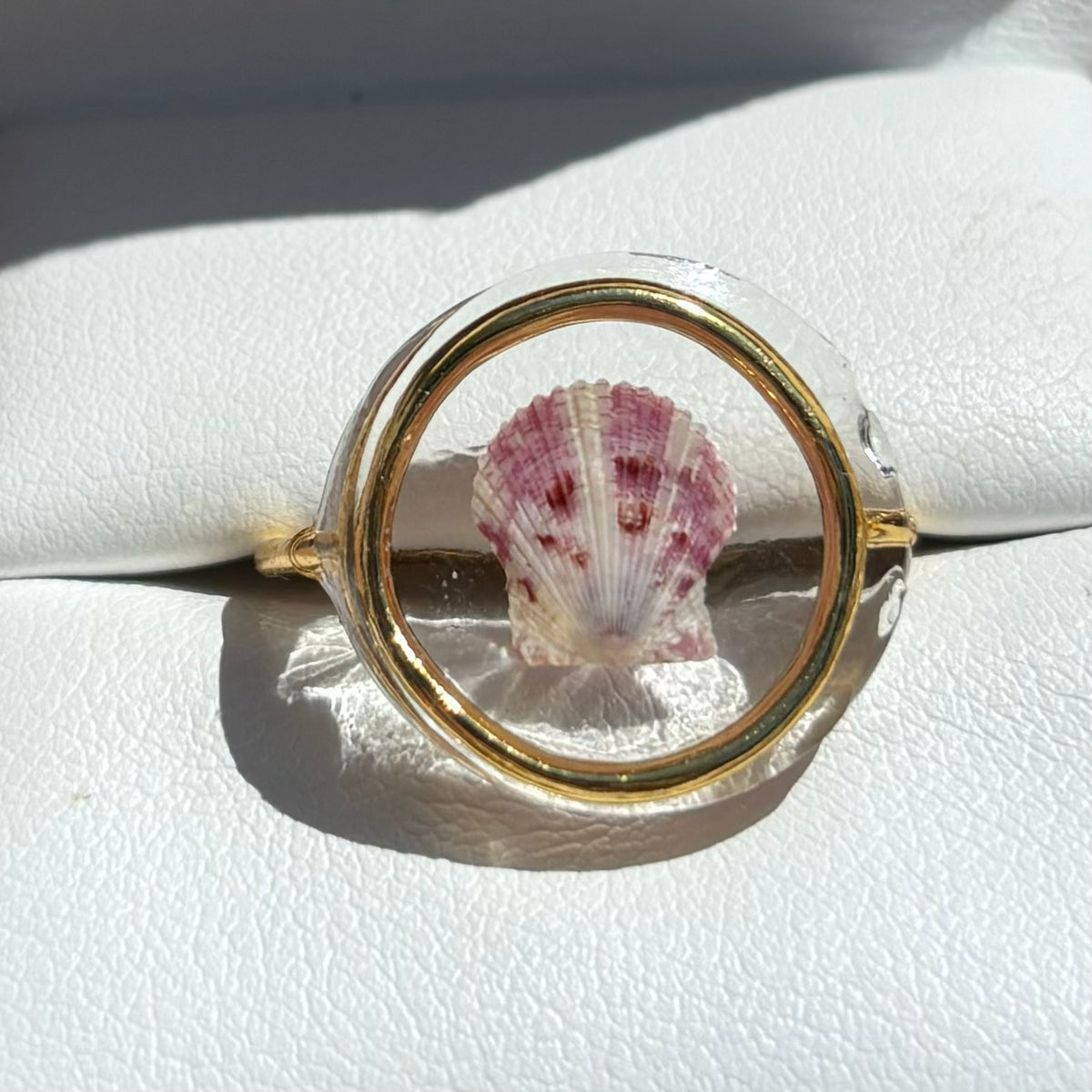 *Rare Finds* Gold Treasure Seashell Rings – Coastline Color