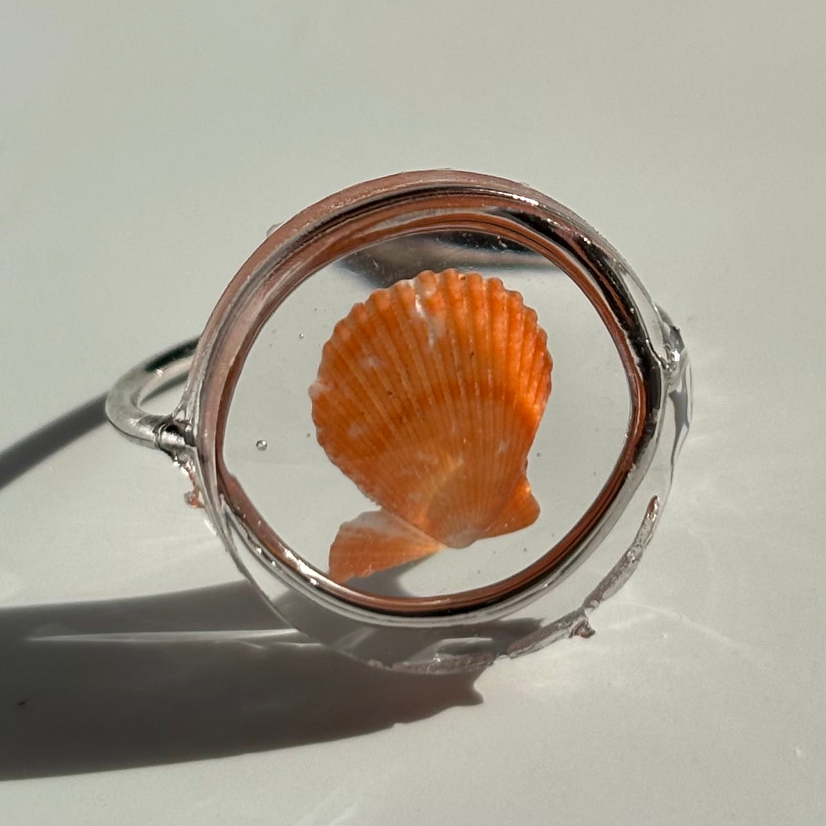 *Rare Finds* Treasure Seashell Rings – Coastline Color