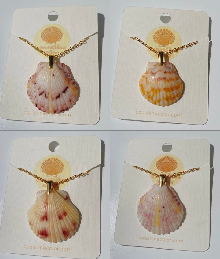 *Rare Finds* Dainty Gold Seashell Necklace – Coastline Color