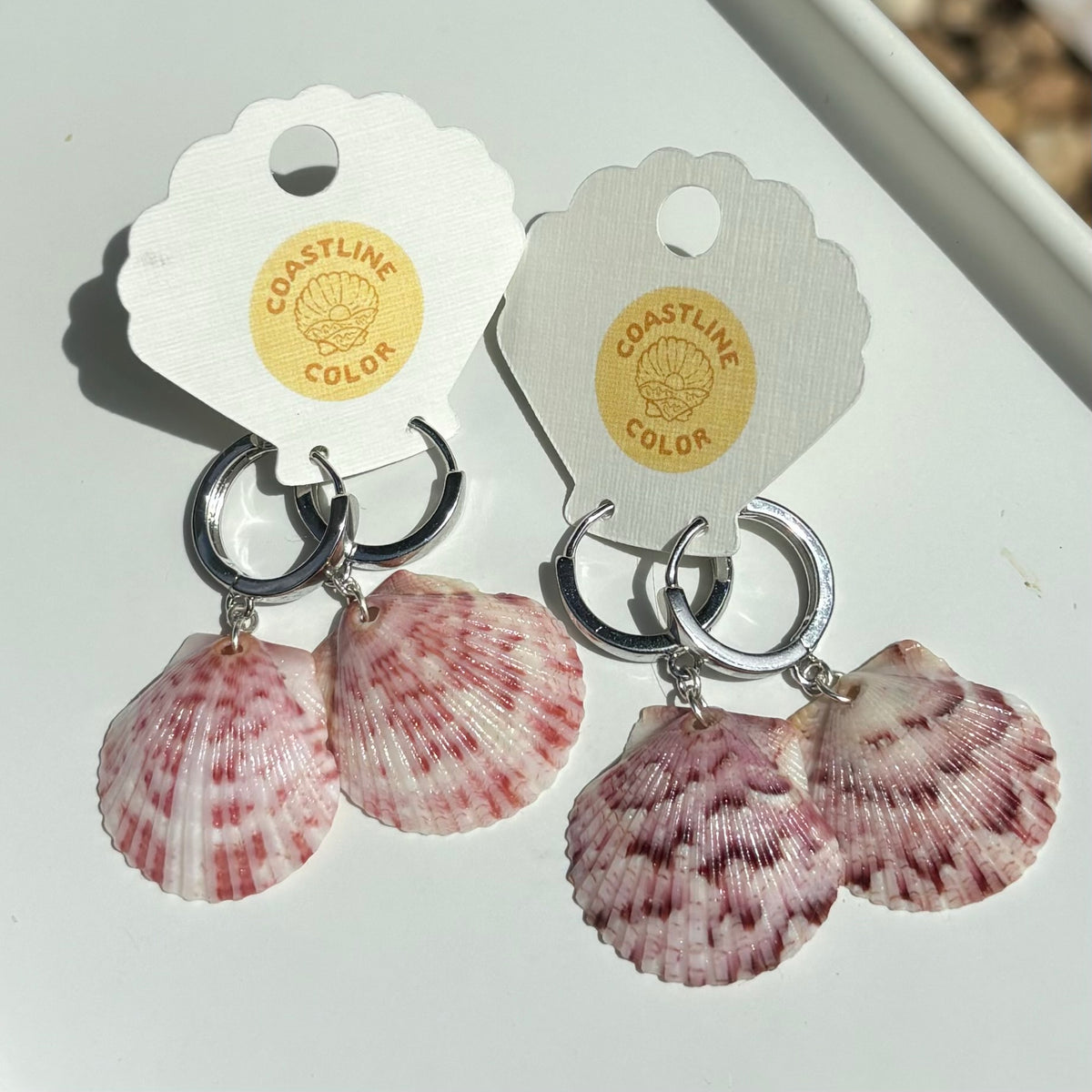 Silver Seashell Earrings – Coastline Color
