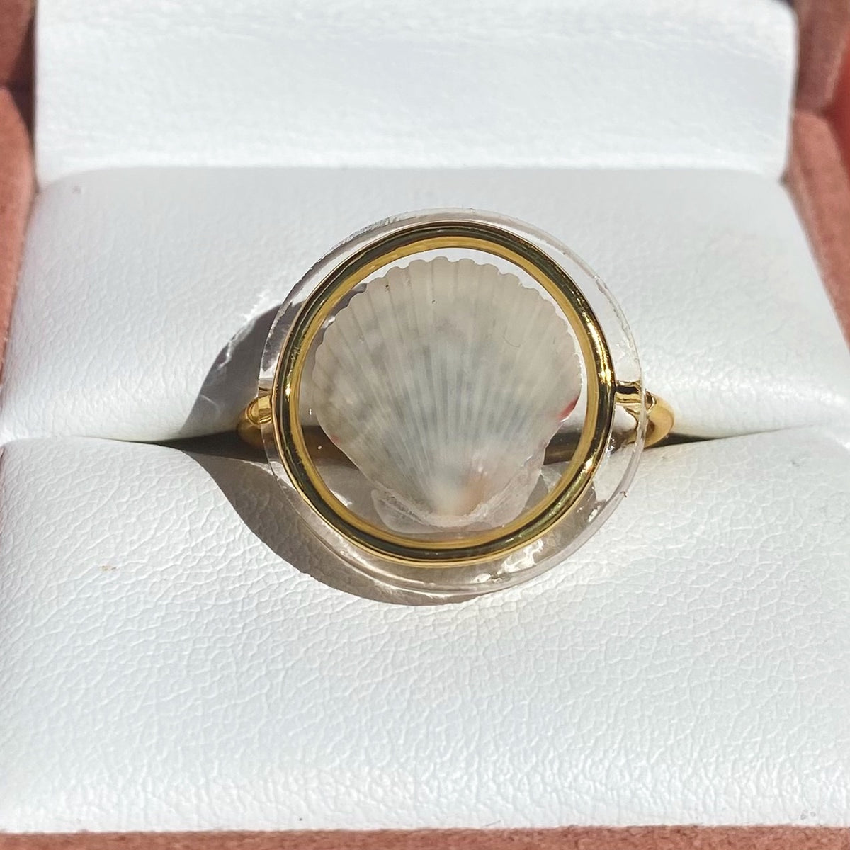 *Rare Finds* Gold Treasure Seashell Rings – Coastline Color